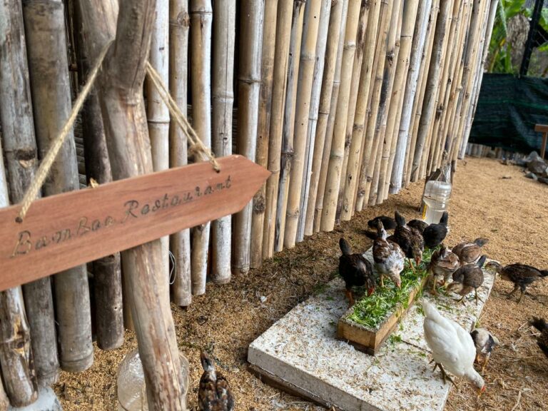 Eat With Six Senses - Chicken Villa - Six Senses Con Dao