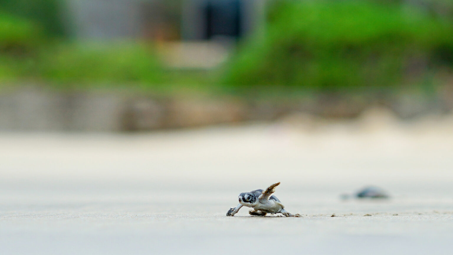 Six Senses Con Dao ® Official | Vietnam's Best Luxury Beach Resort